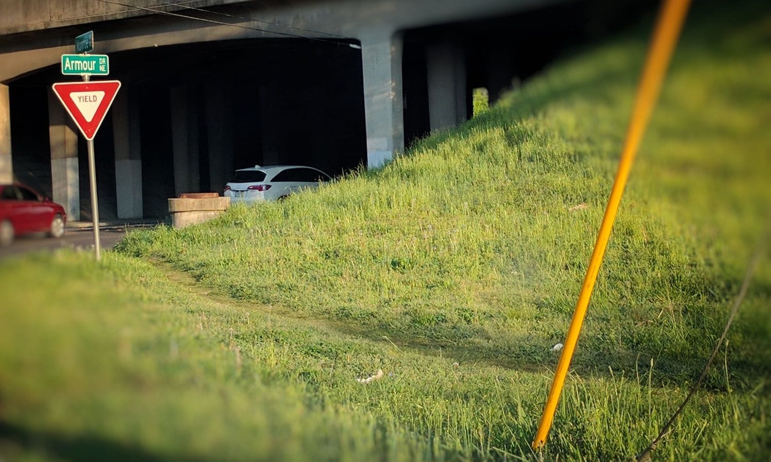 How to Turn Desire Paths Into Profit