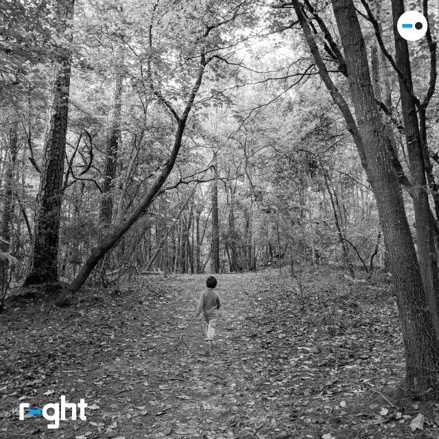 Daniel Kahneman, "What You See Is All There Is" — WYSIATI